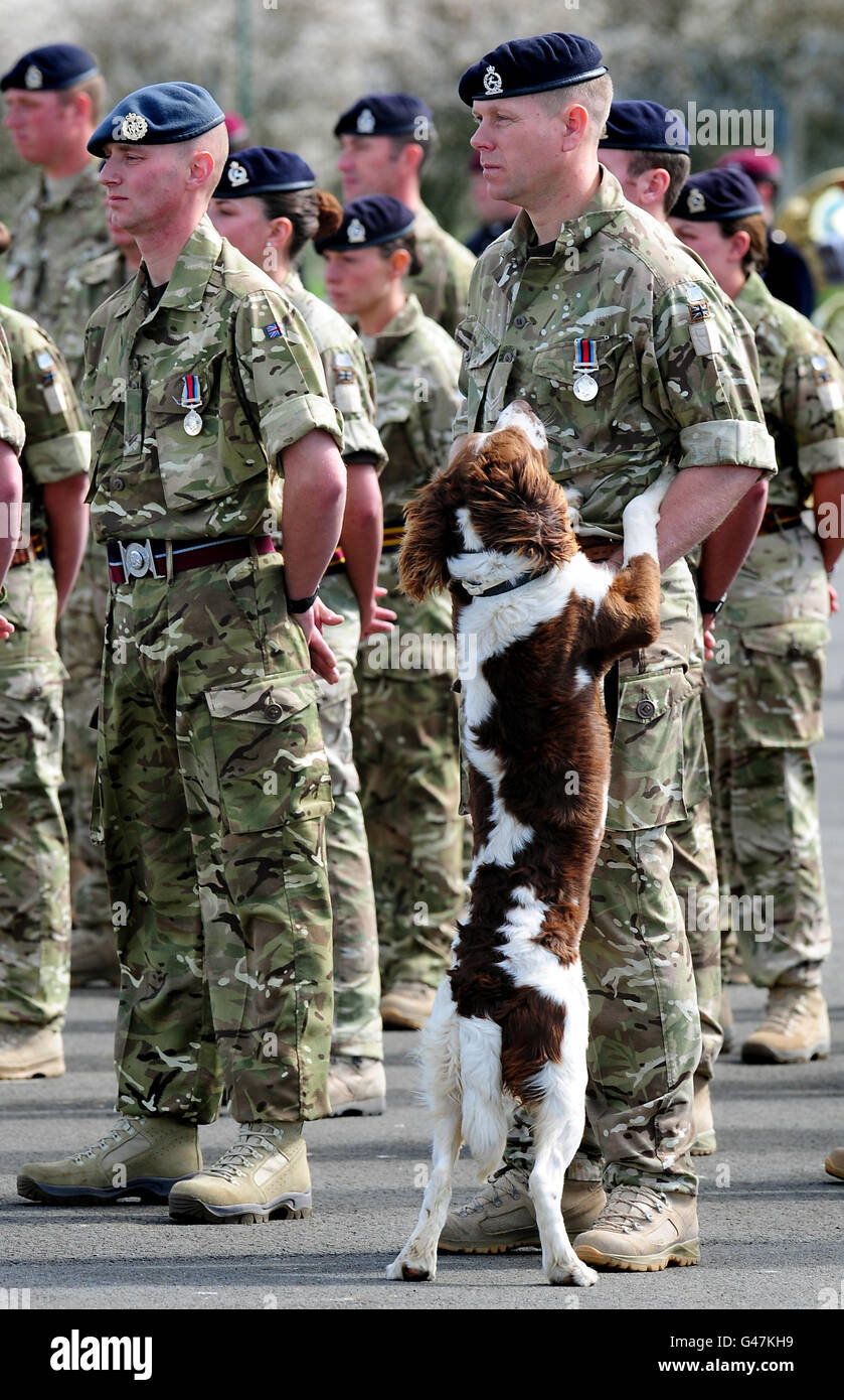 Corporal Phil Jeeves with dog Travis from 104 Military Working Dog ...
