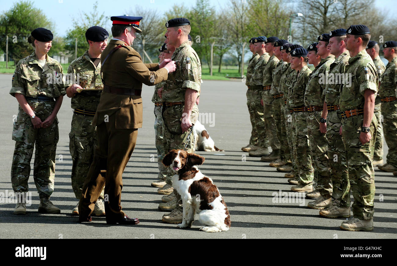 Soldiers from 104 Military Working Dog Squadron, which is part of the ...