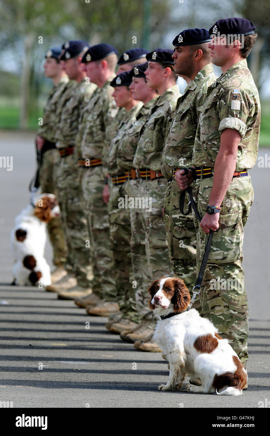 Soldiers from 104 military working dog squadron hi-res stock ...