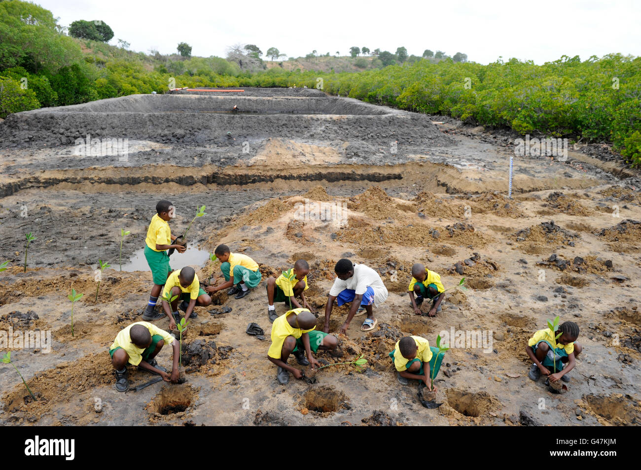 KENYA, Mombasa, village Majaoni, school children of environment youth ...