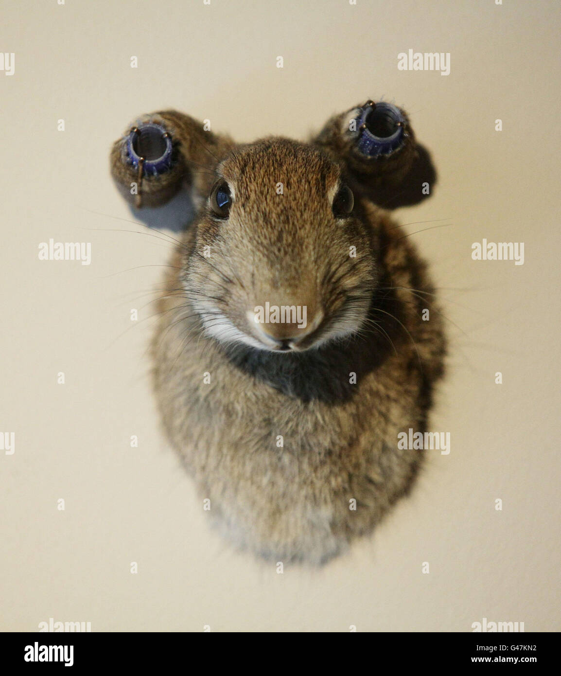 Fouts hi-res stock photography and images - Alamy