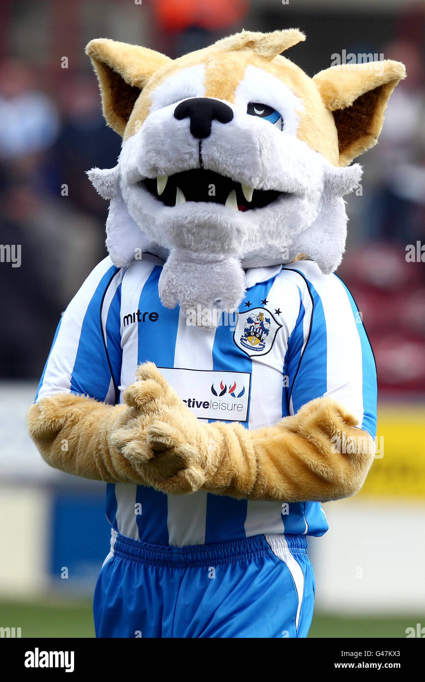 Huddersfield town mascot terry the terrier hi-res stock photography and ...