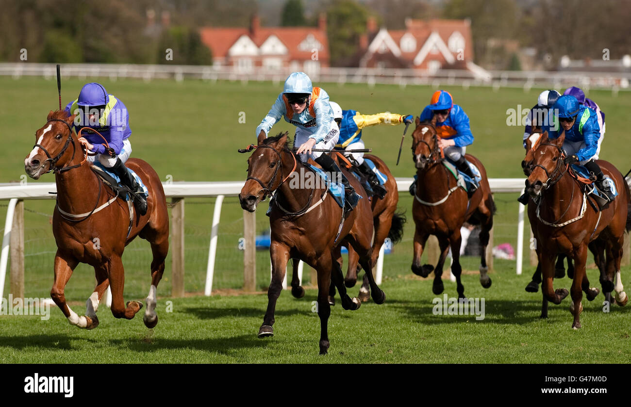 Horse Racing - Beverley Racecourse Stock Photo - Alamy