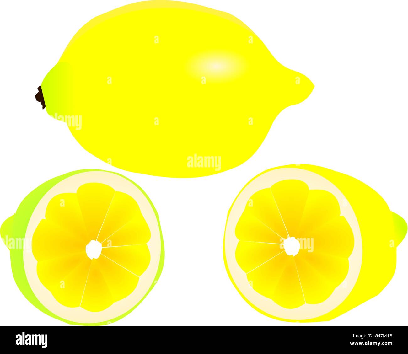 slicing lemon ,lemon, citron ,tropical fruit Stock Vector Image & Art ...