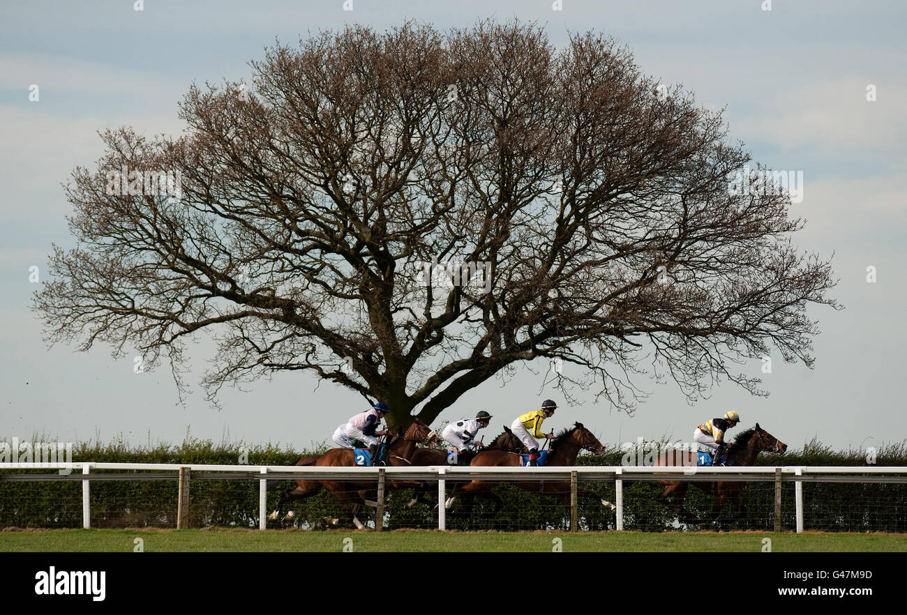 Horse Racing - Beverley Racecourse Stock Photo - Alamy