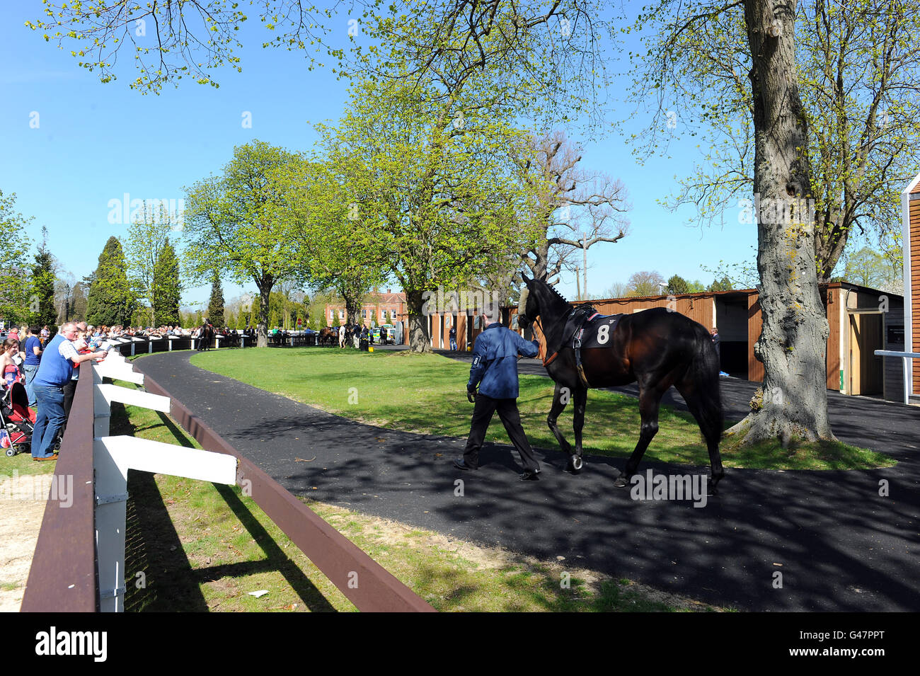 Parade ring at lingfield park racecourse hi-res stock photography and ...