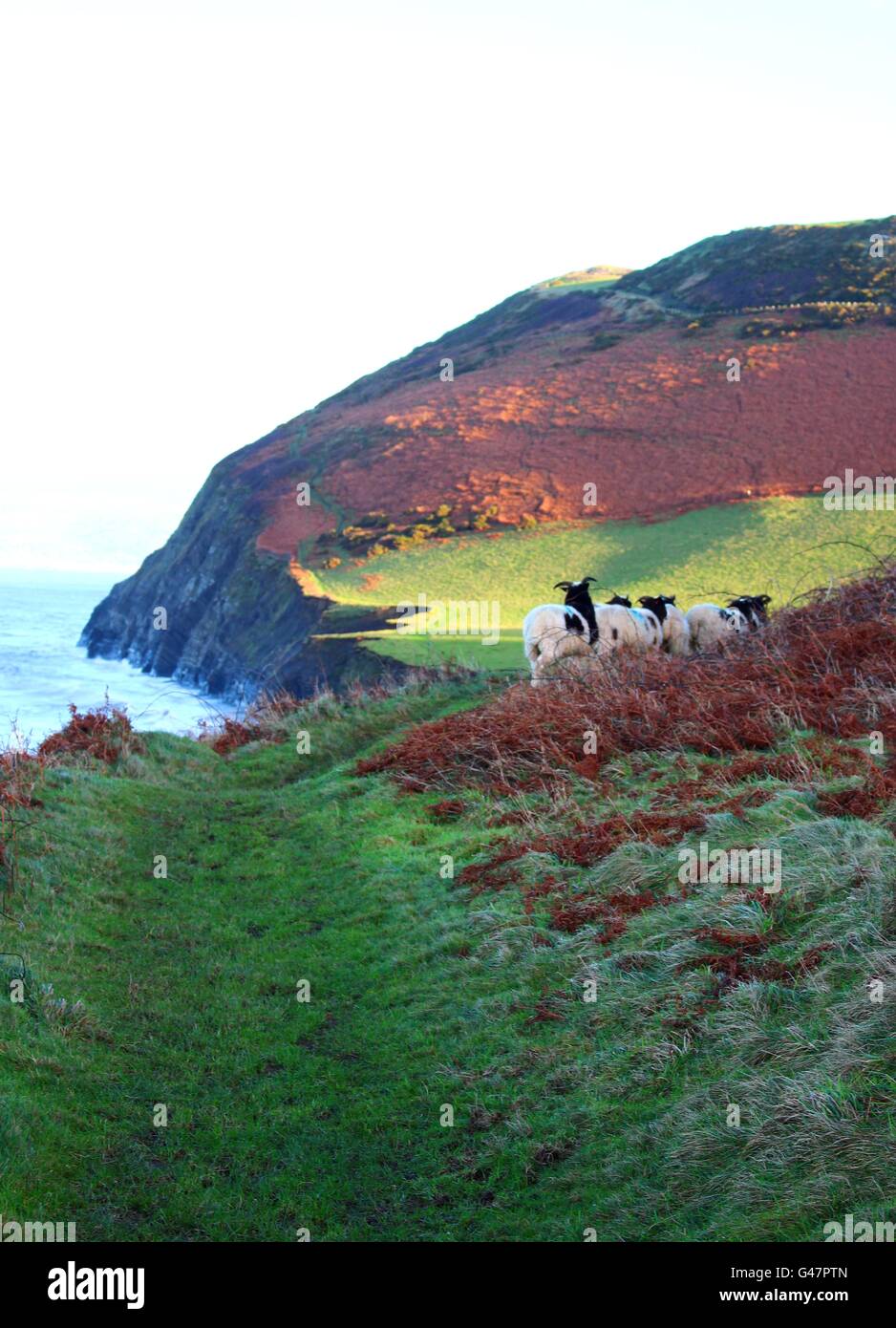 Wale's coastal path offers some spectacular views of the Welsh ...