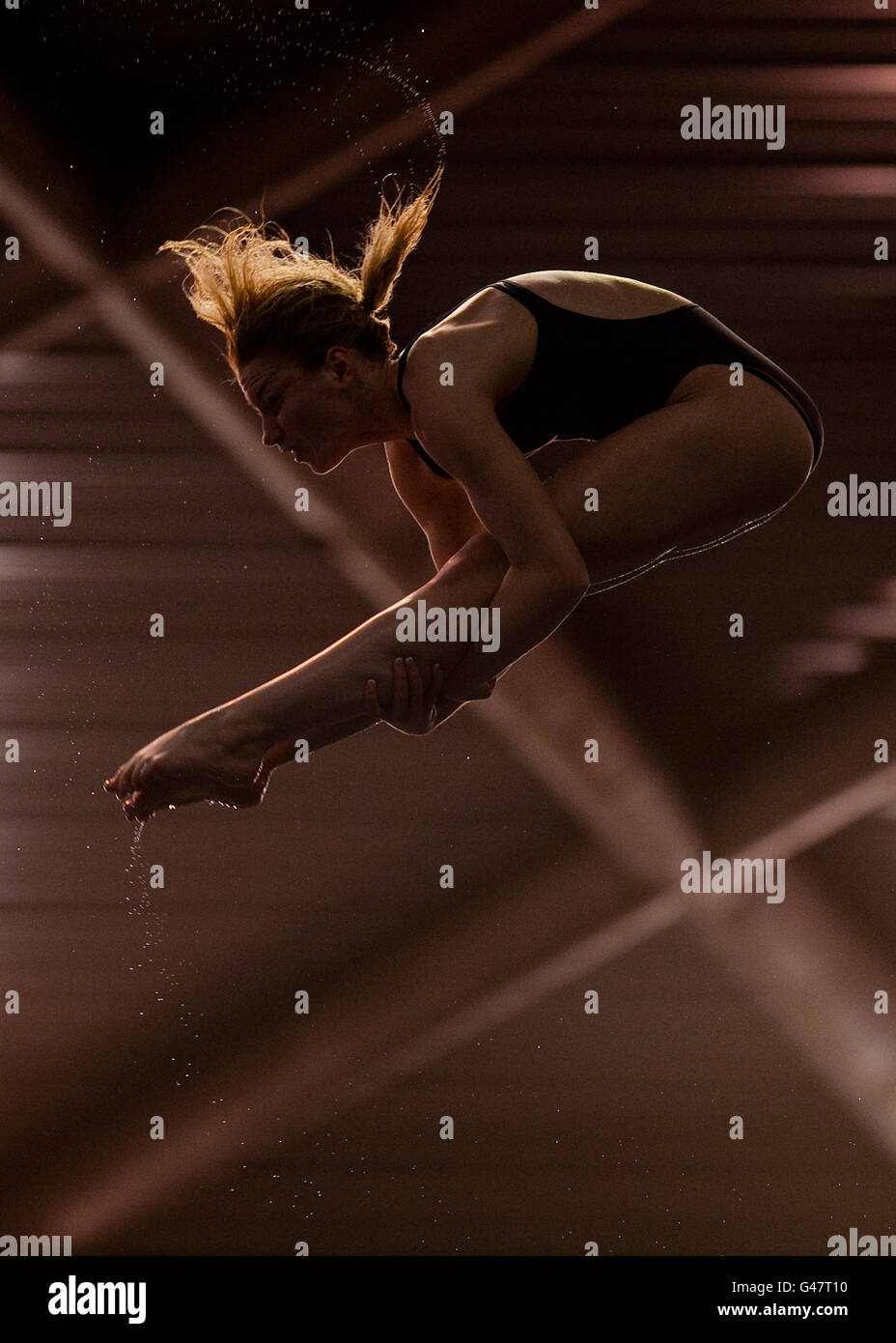 Diving - Fina Diving World Series 2011 - Day One - Ponds Forge Stock ...