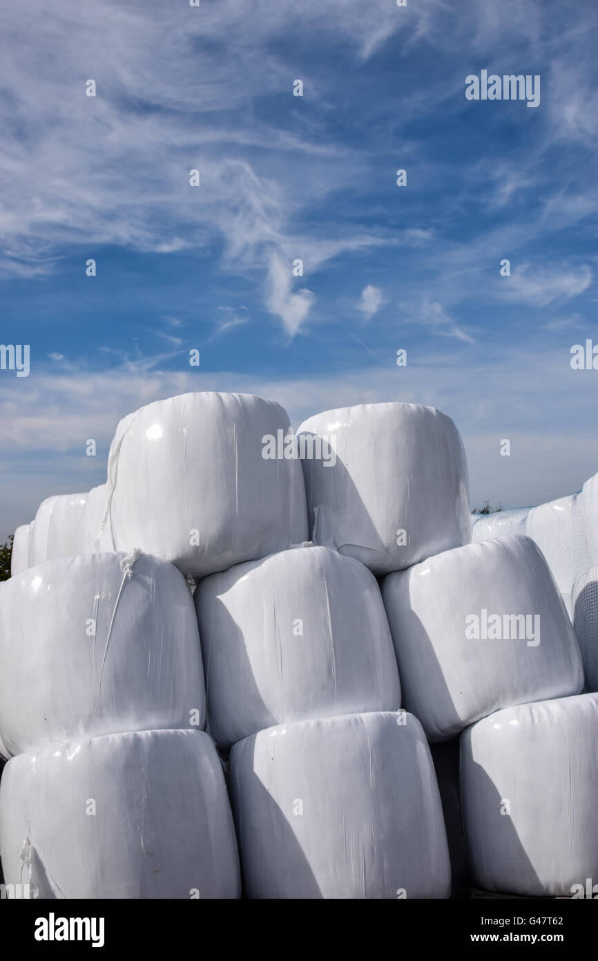 Plastic wrapped hay bales hi-res stock photography and images - Alamy