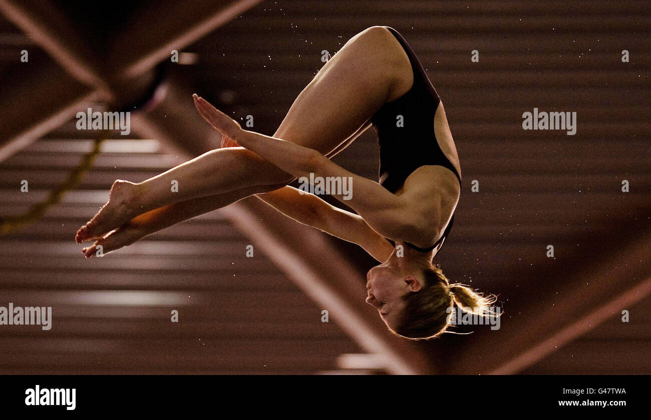 Diving - Fina Diving World Series 2011 - Day Two - Ponds Forge Stock ...