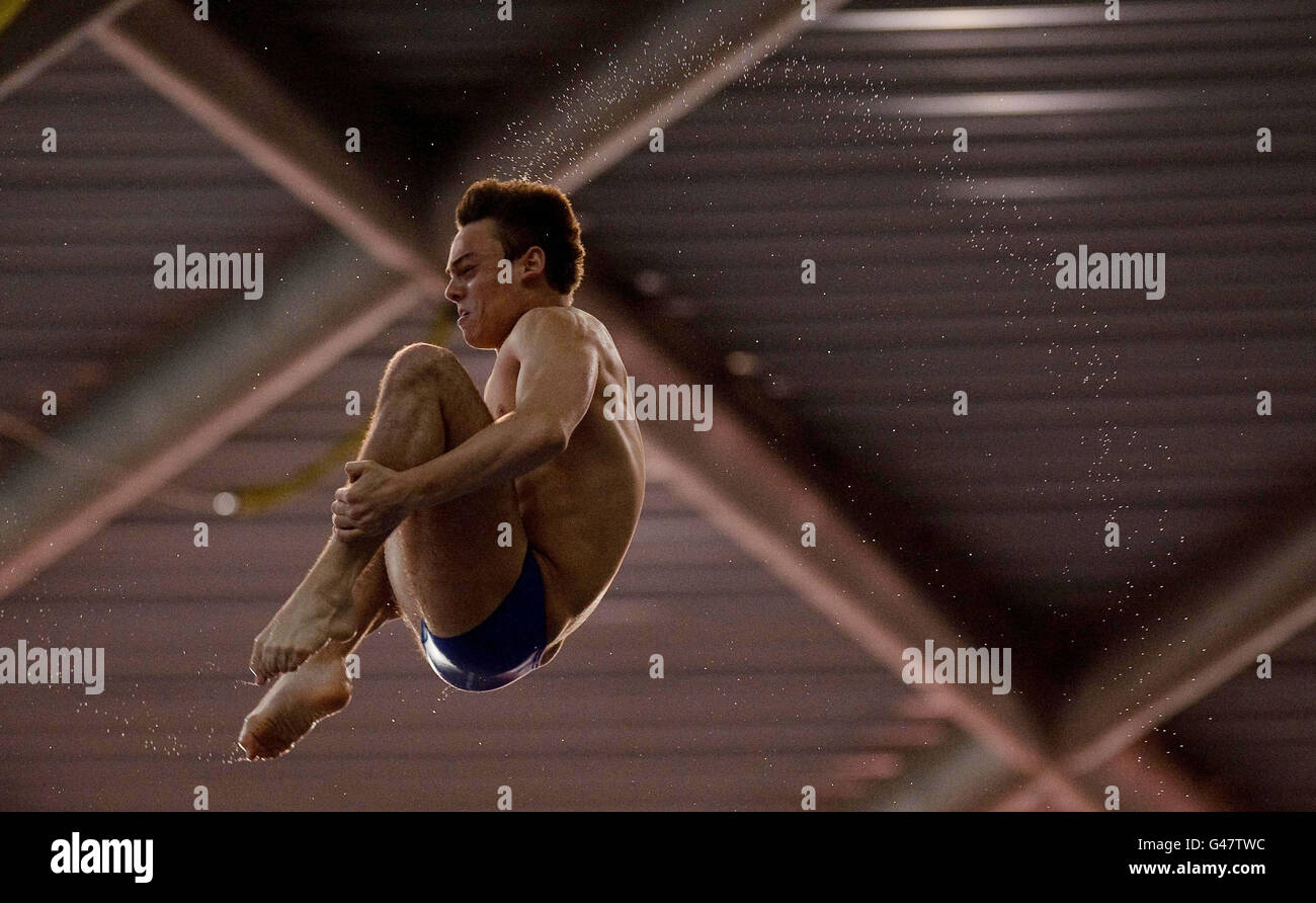 Diving - Fina Diving World Series 2011 - Day Two - Ponds Forge. Great ...