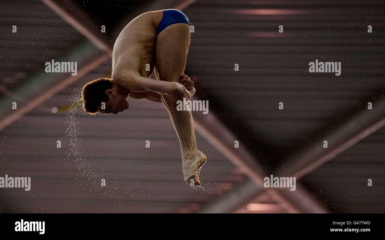 Diving - Fina Diving World Series 2011 - Day Two - Ponds Forge Stock ...