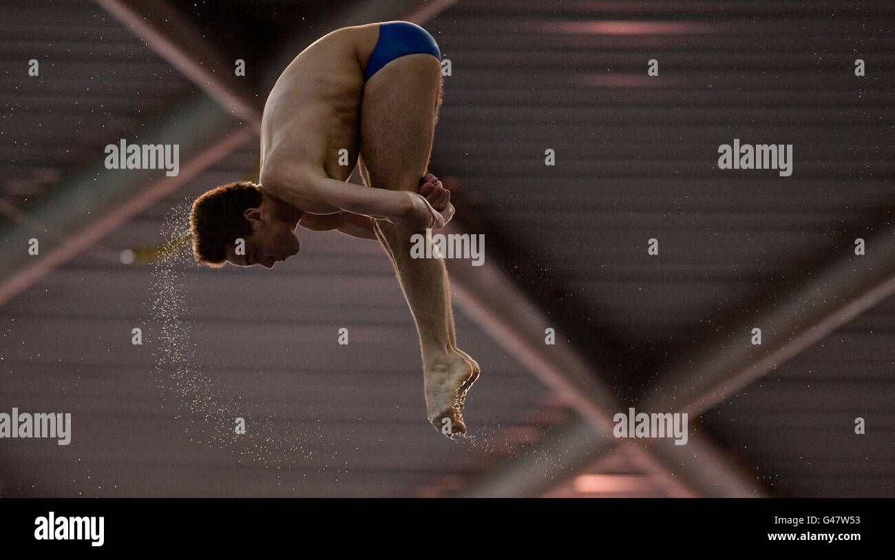 Diving - Fina Diving World Series 2011 - Day Two - Ponds Forge. Great ...