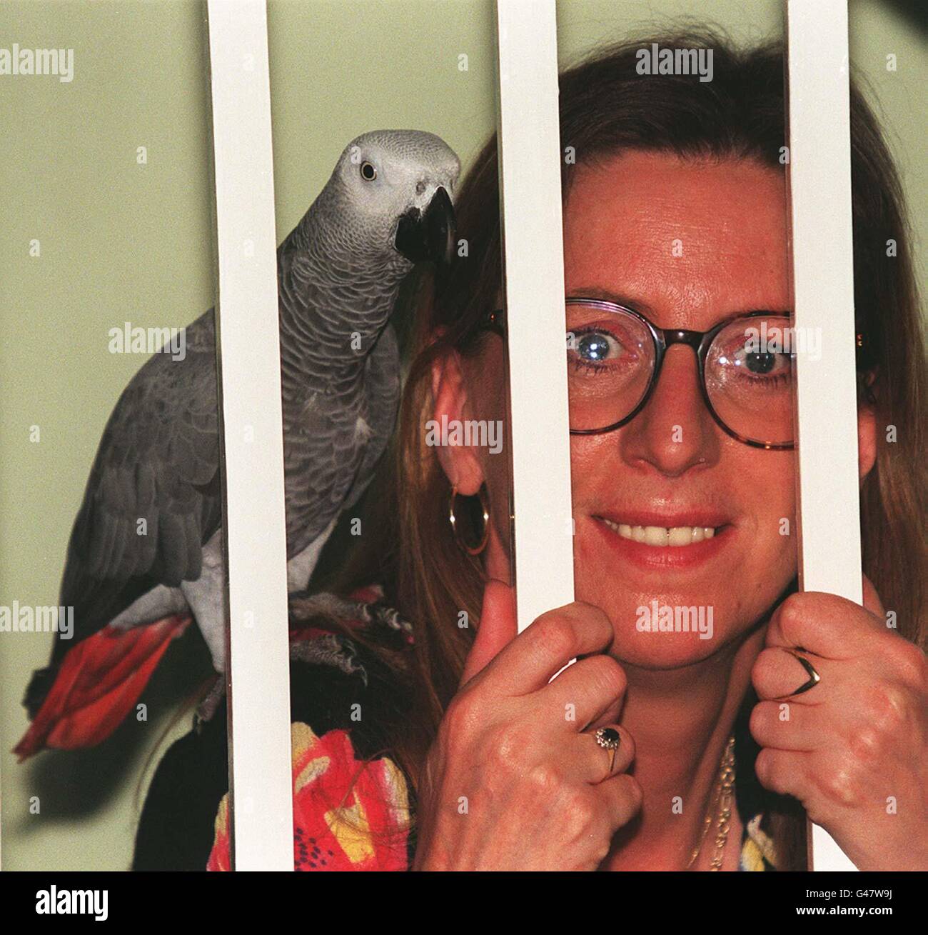 African Grey parrot "Ollie" was re-united with his owner Dot Oliver ...