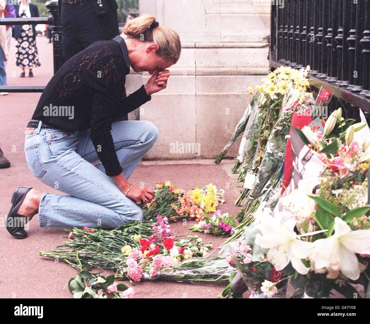 Dianaanniv10 Dianaanniv10 Dianacollection High Resolution Stock ...