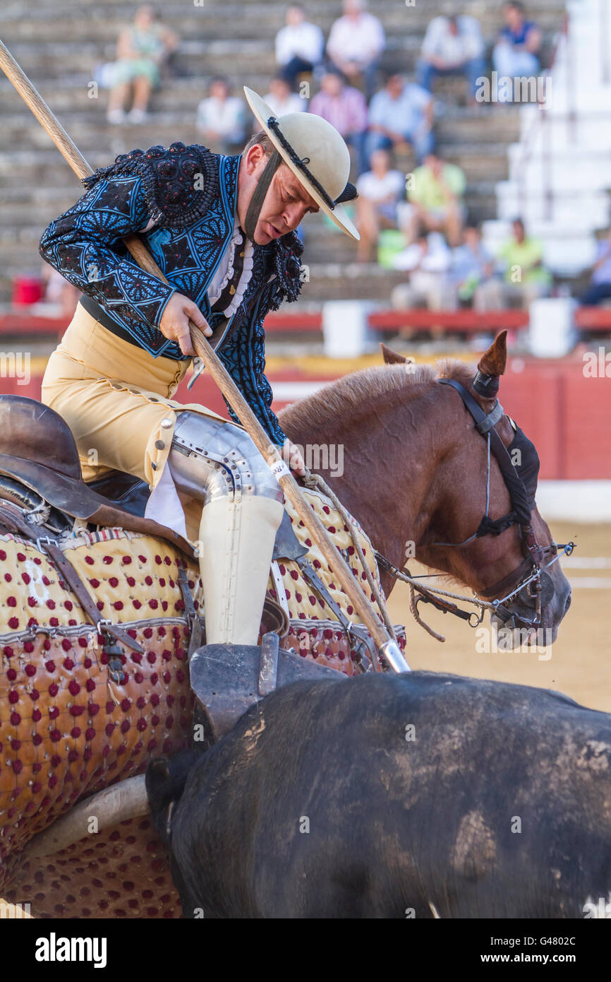 Picador bullfighter, lancer whose job it is to weaken bull's neck ...