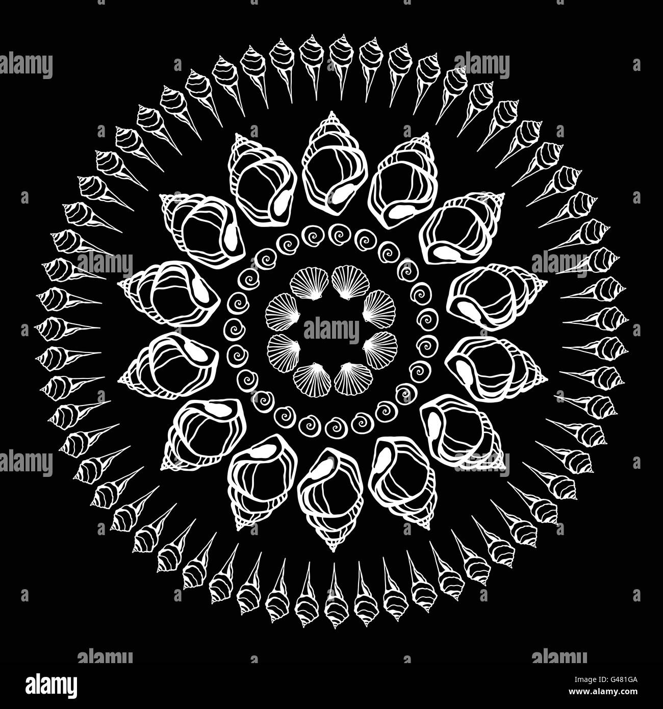 Sea Shells ornament Stock Vector Image & Art - Alamy