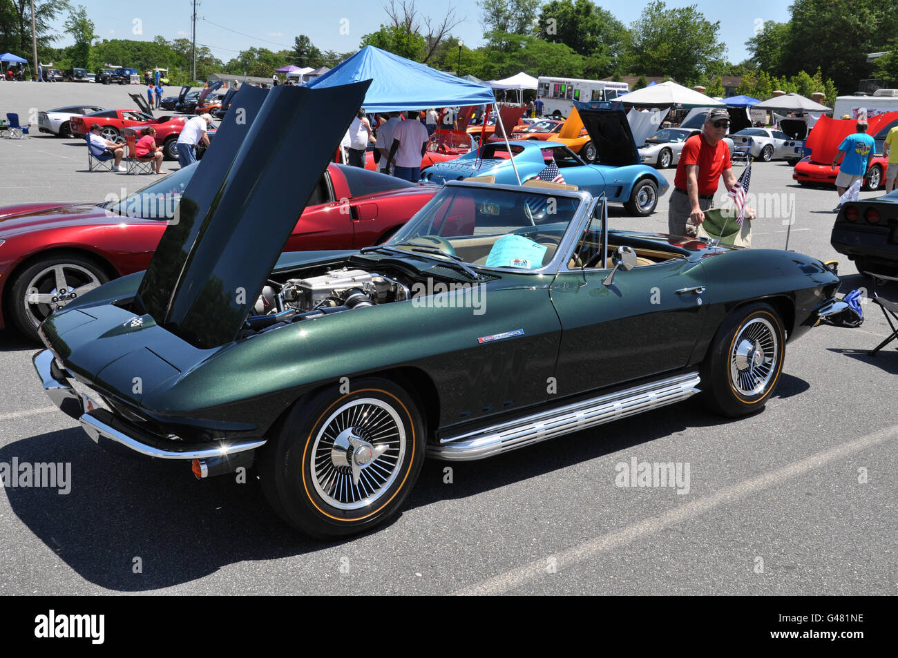 A 1965 Fuel Injected Chevrolet Corvette at a car show Stock Photo - Alamy