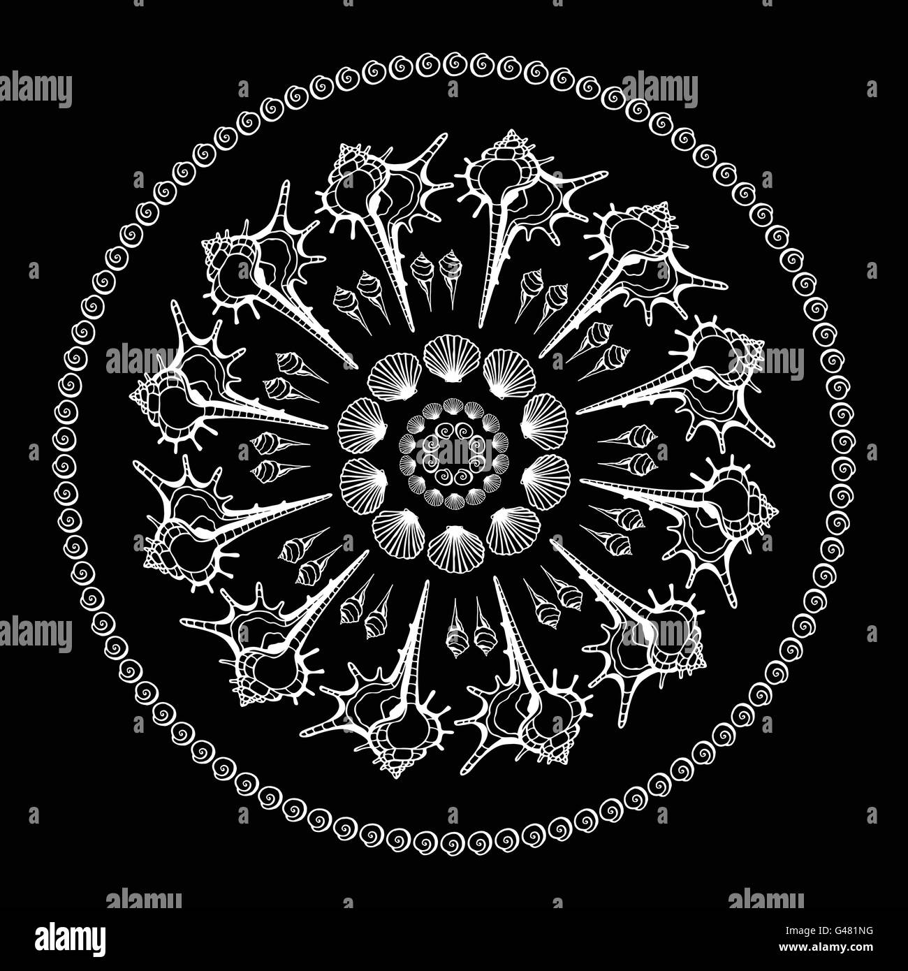 Sea Shells ornament Stock Vector Image & Art - Alamy