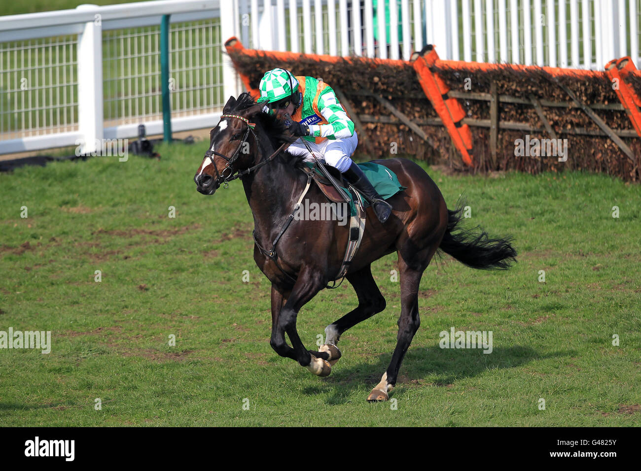 Handicap hurdle at towcester racecourse hi-res stock photography and ...