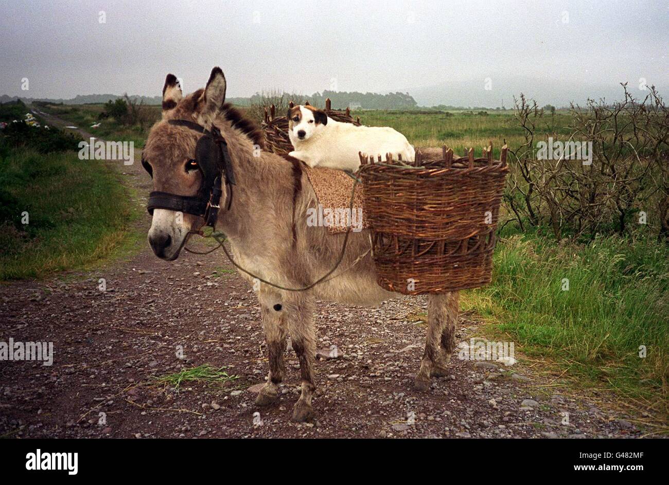 Peat cutting season in south west ireland goes on hi-res stock ...