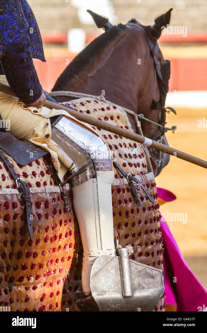Picador bullfighter, lancer whose job it is to weaken bull's neck ...
