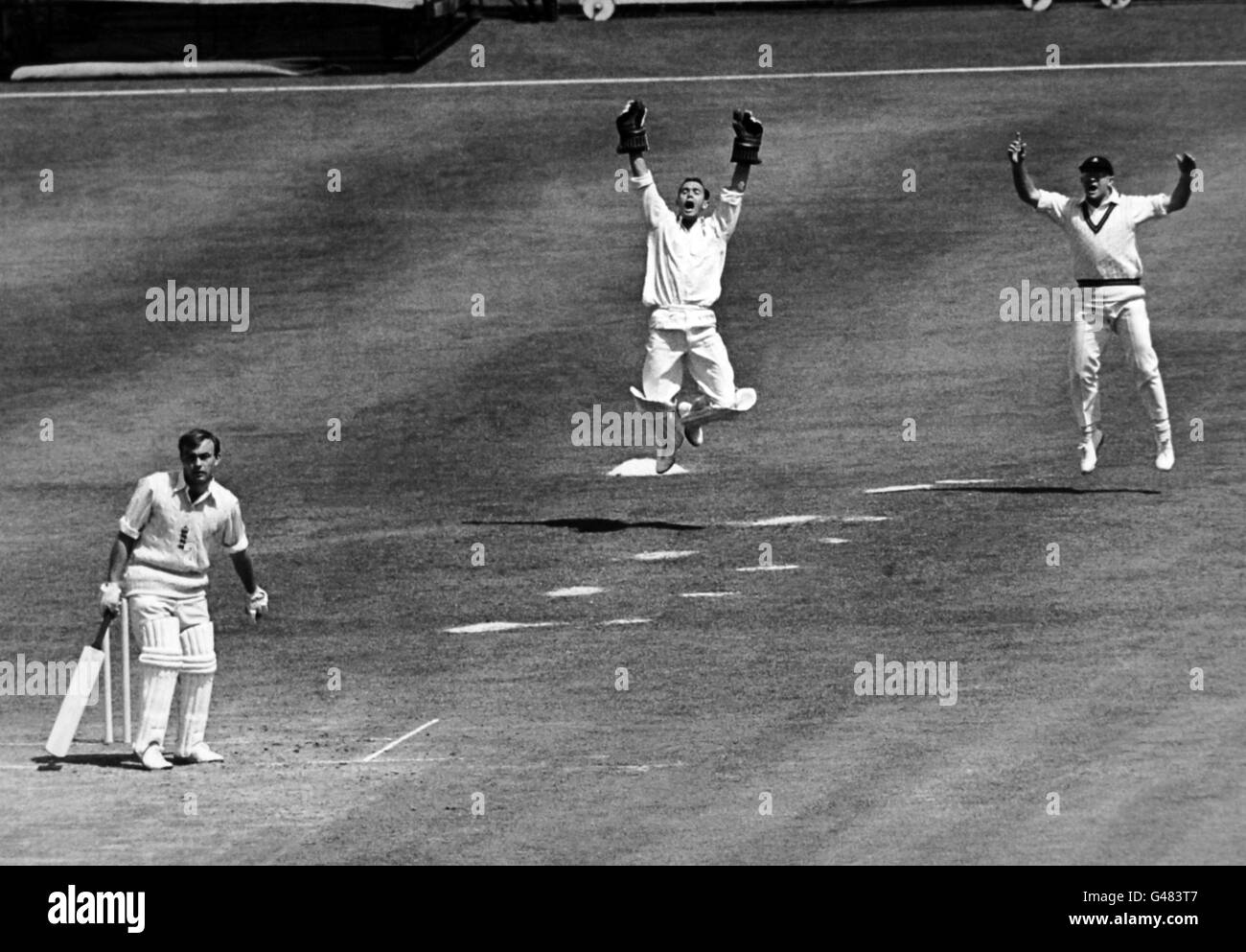 Peter pollock hi-res stock photography and images - Alamy