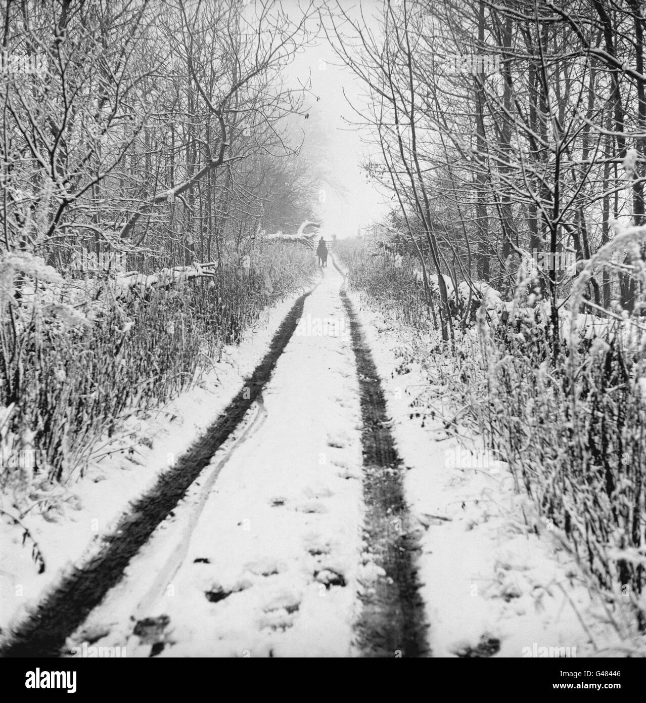 Weather - Winter Snowfall - 1965 Stock Photo - Alamy