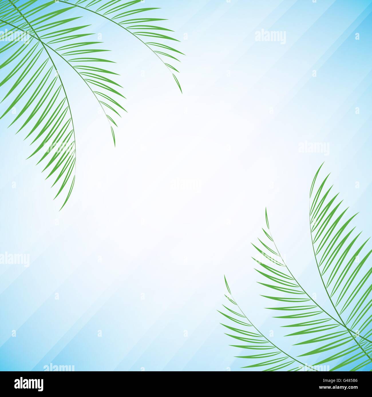 Vector illustration of palm tree leaves over light blue summer ...