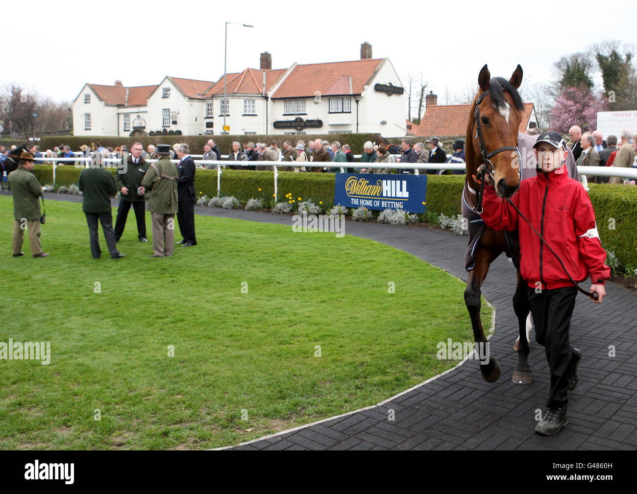Horse Racing - Catterick Racecourse. A horse is lead around the parade ...