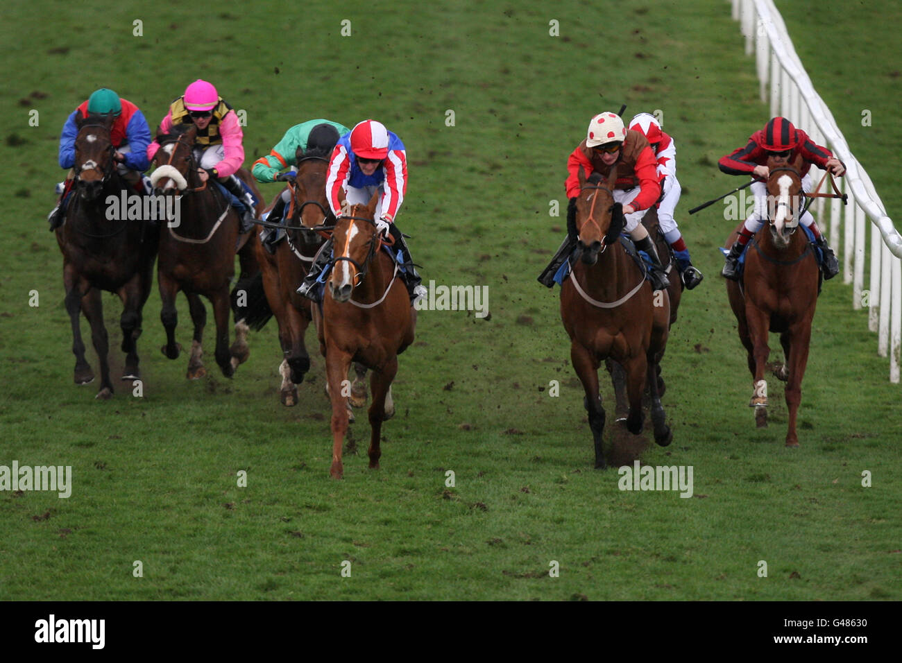 Horse Racing - Catterick Racecourse Stock Photo - Alamy
