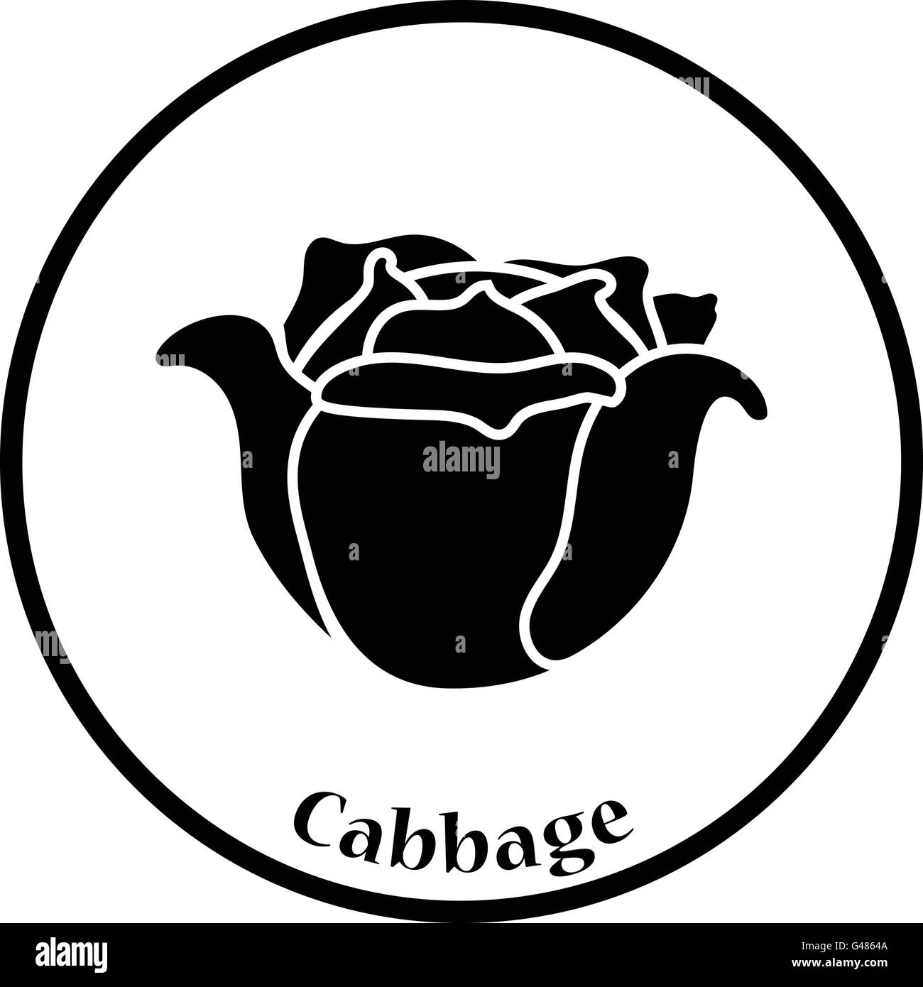 Cabbage icon. Thin circle design. Vector illustration Stock Vector ...