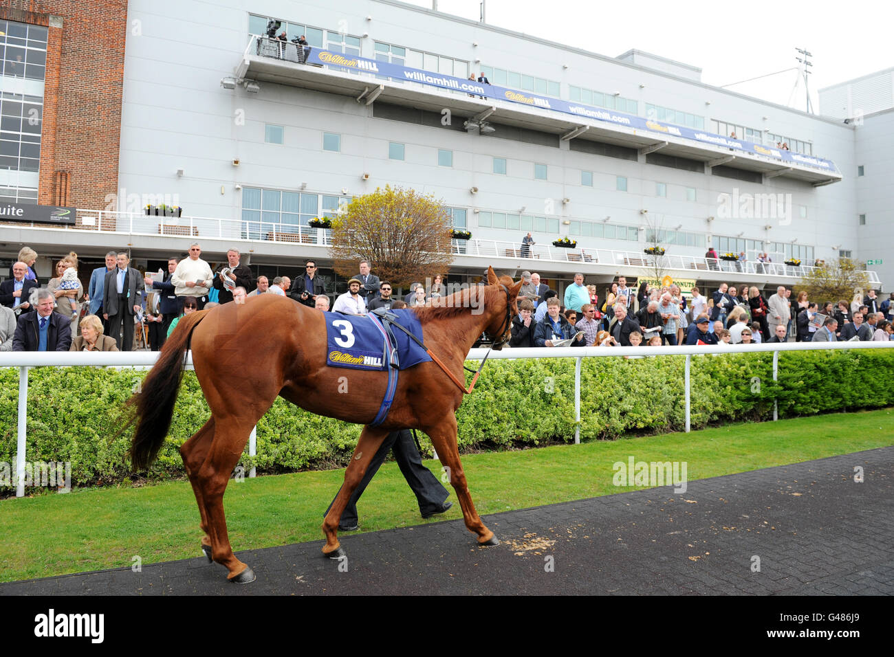 Horse Racing - William Hill Rosebery Stakes Day - Kempton Park. Horses ...