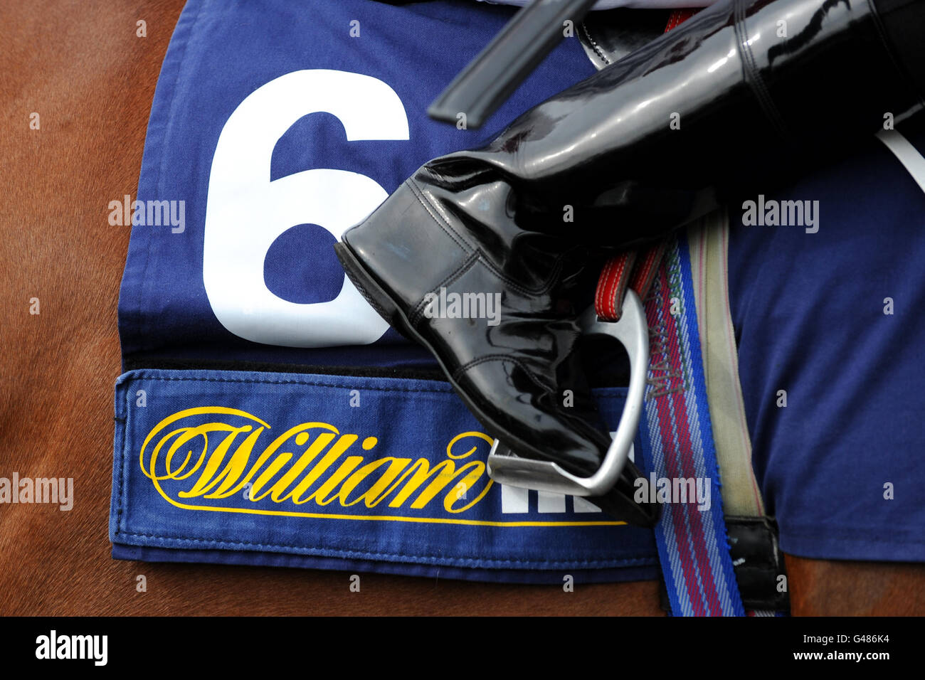 Horse Racing - William Hill Rosebery Stakes Day - Kempton Park. General ...