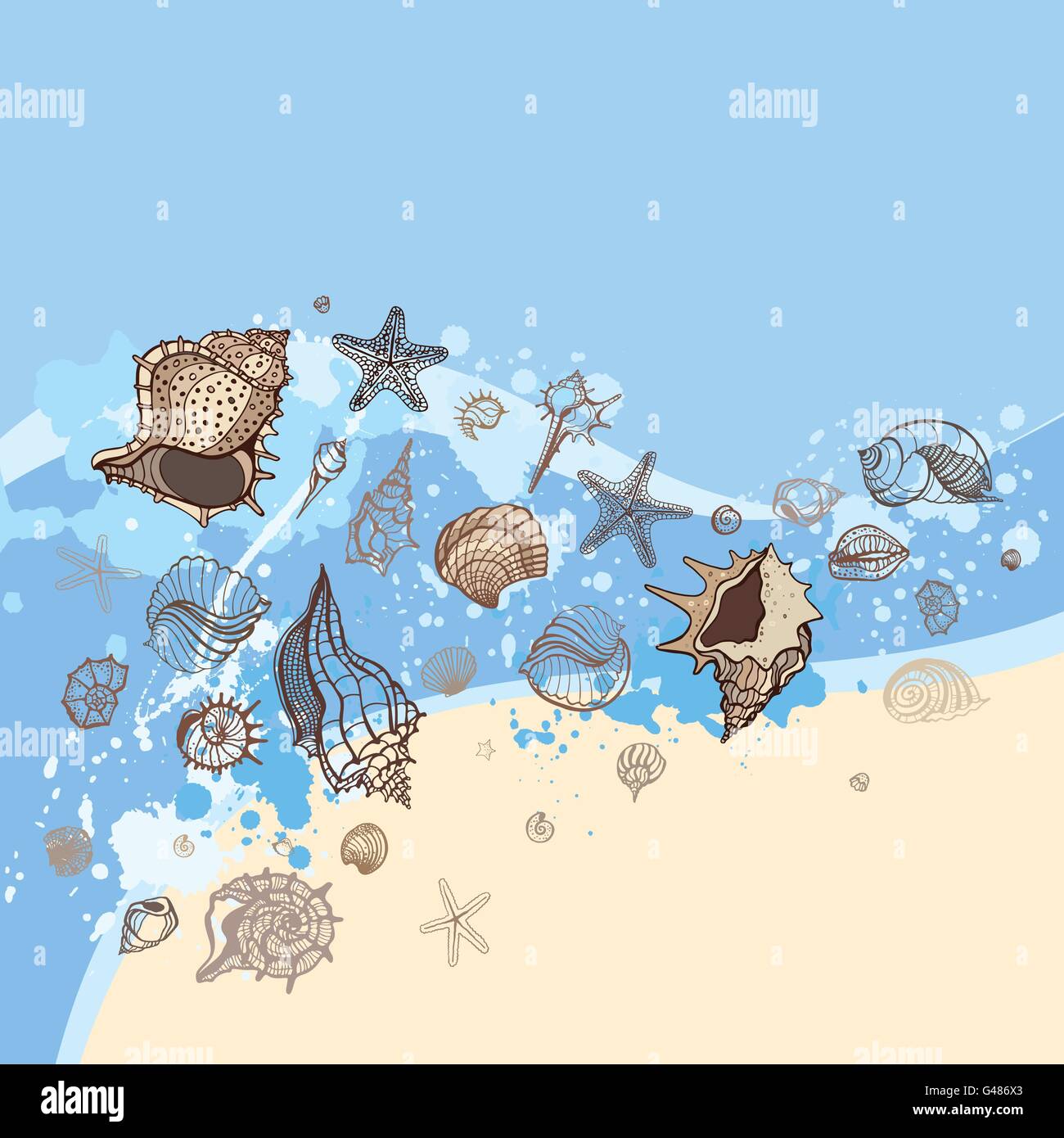 Seashells with sand background Stock Vector Image & Art - Alamy