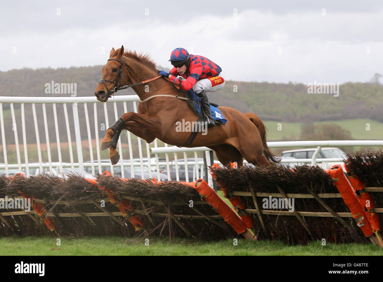 Jockey Tom Scudamore on Barodine during the Ludlow Point To Point On ...