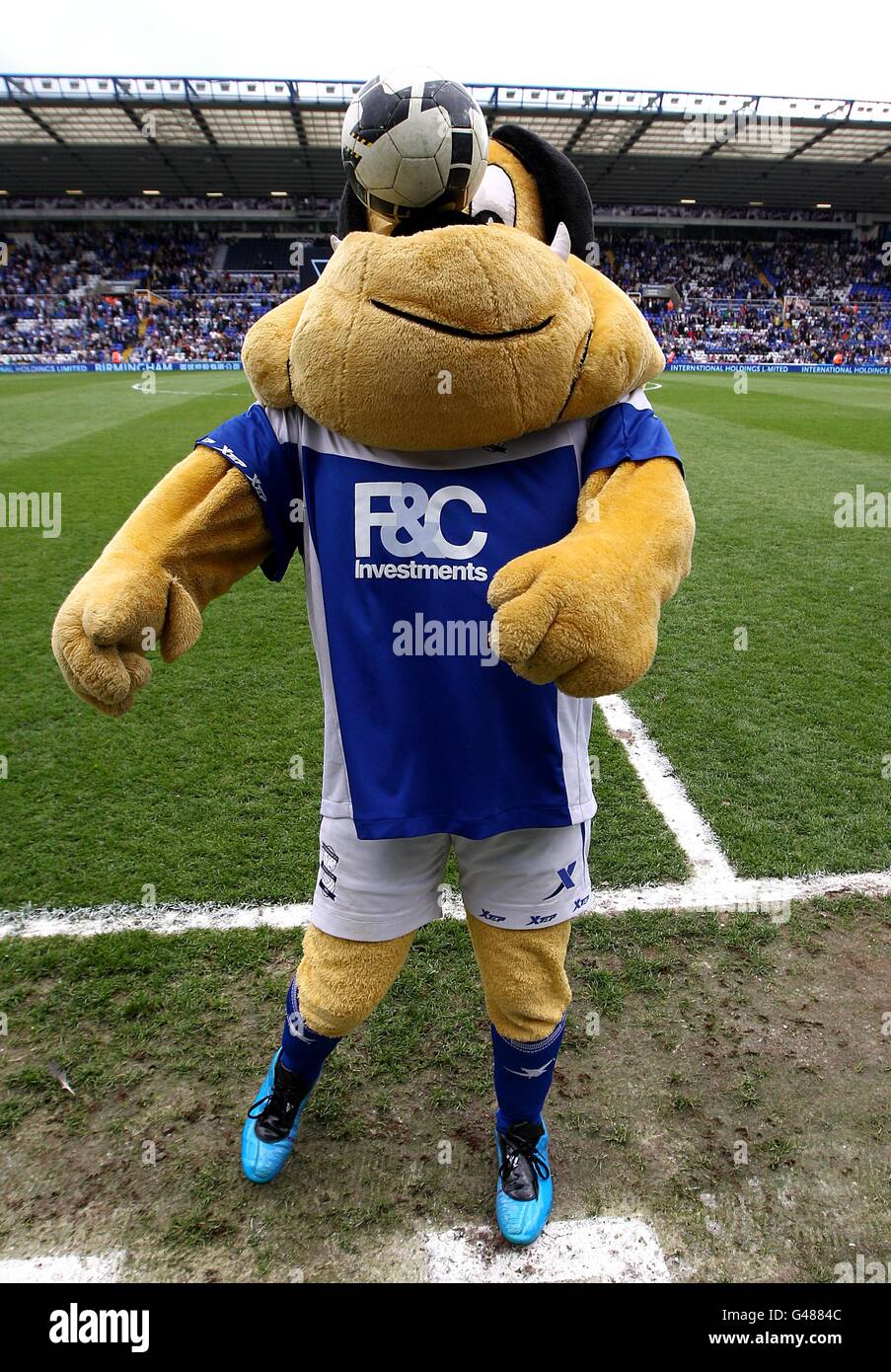 Birmingham City mascot Beau Brummie on the pitch before the match Stock ...