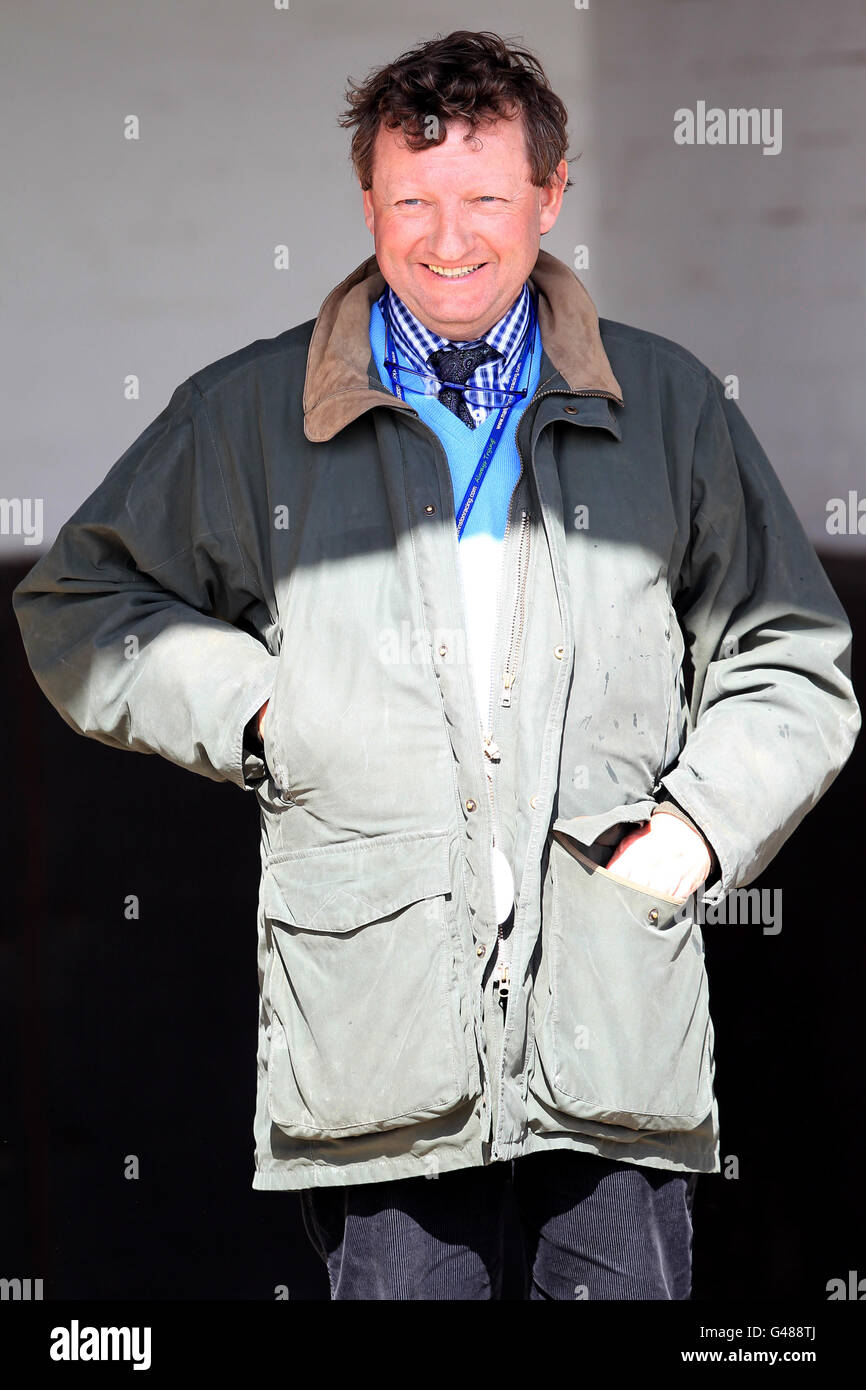 Mark johnston horse hi-res stock photography and images - Alamy