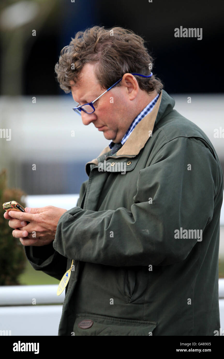 Mark johnston horse hi-res stock photography and images - Alamy