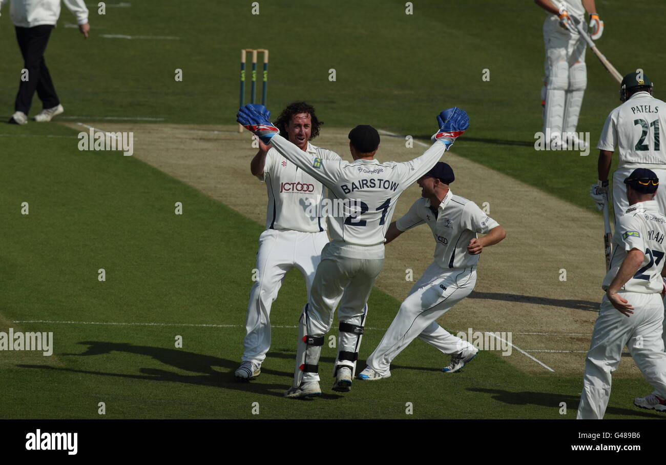 Yorkshire's Ryan Sidebottom celebrates the wicket of Nottinghamshire's ...