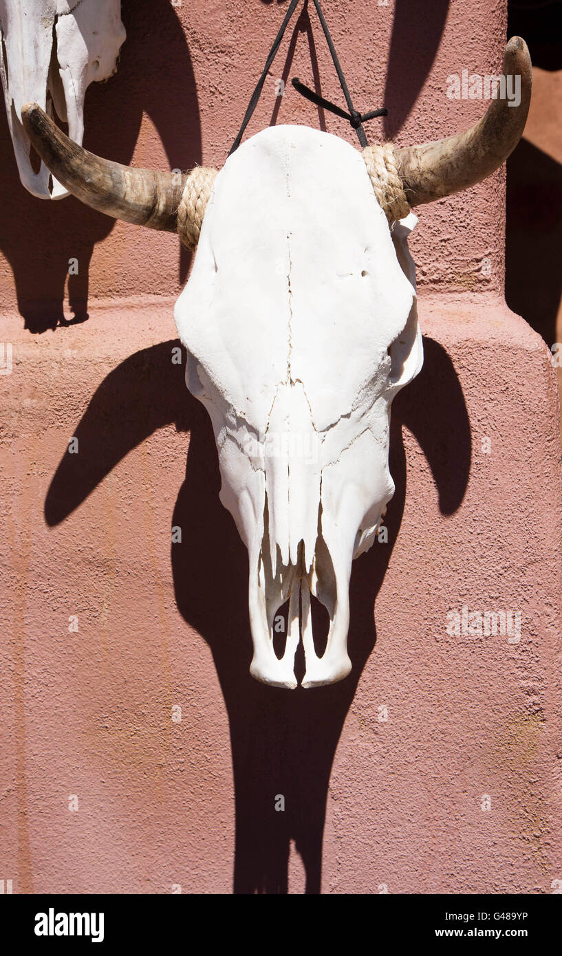 United america travel head cow skeleton sign hi-res stock photography ...