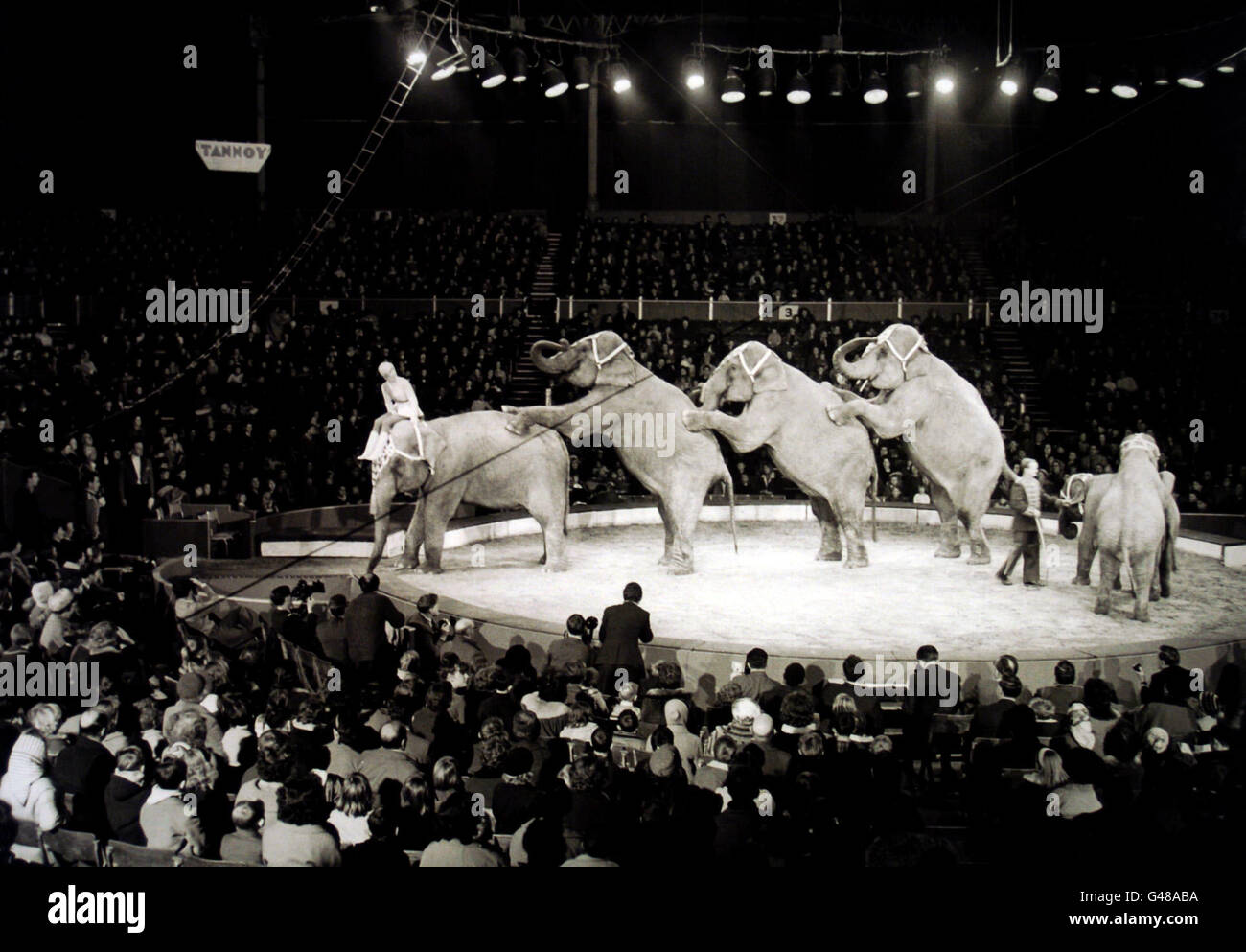 Bertram Mills Circus Olympia High Resolution Stock Photography and ...