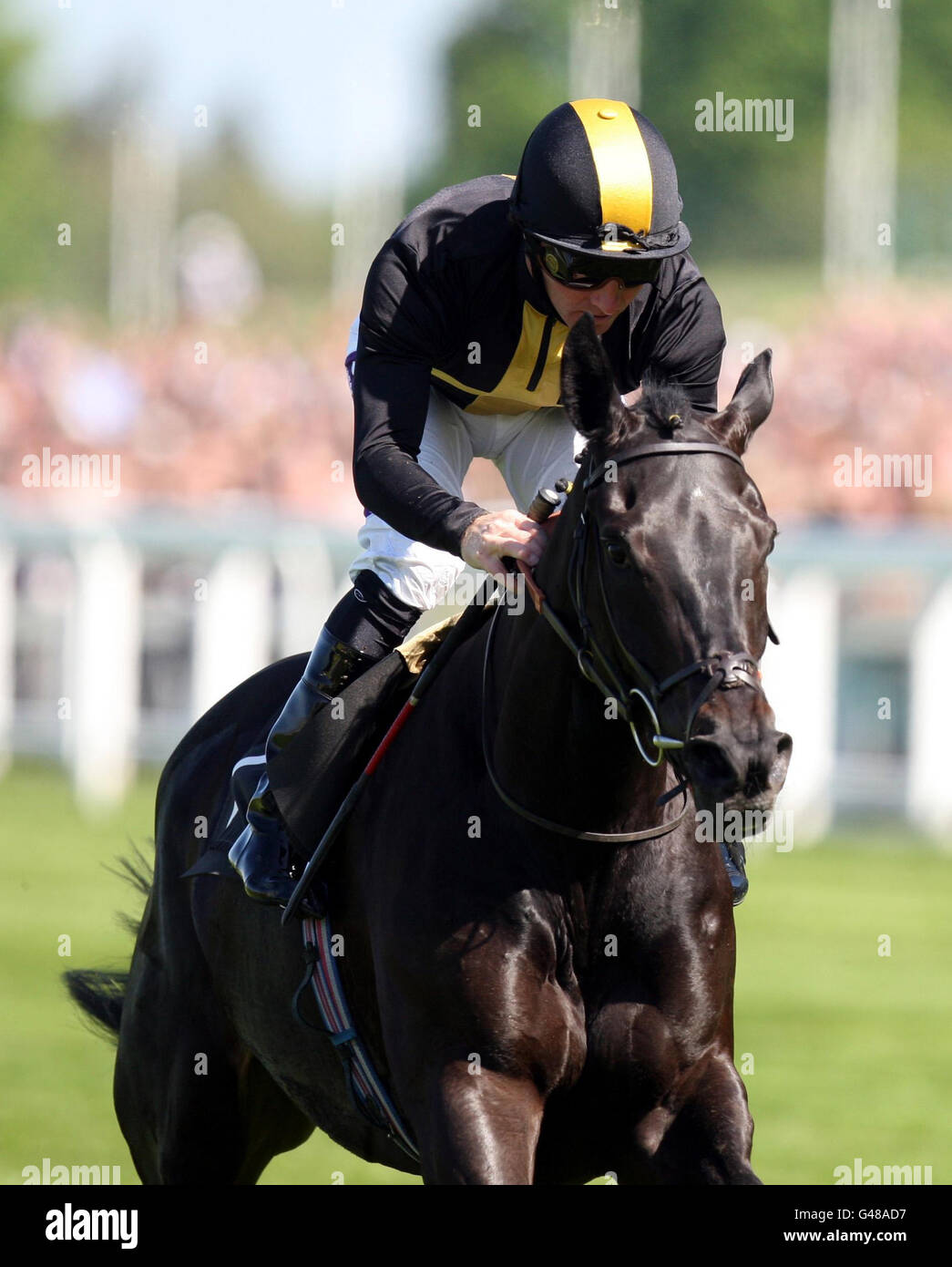 Totepool free raceday hi-res stock photography and images - Alamy