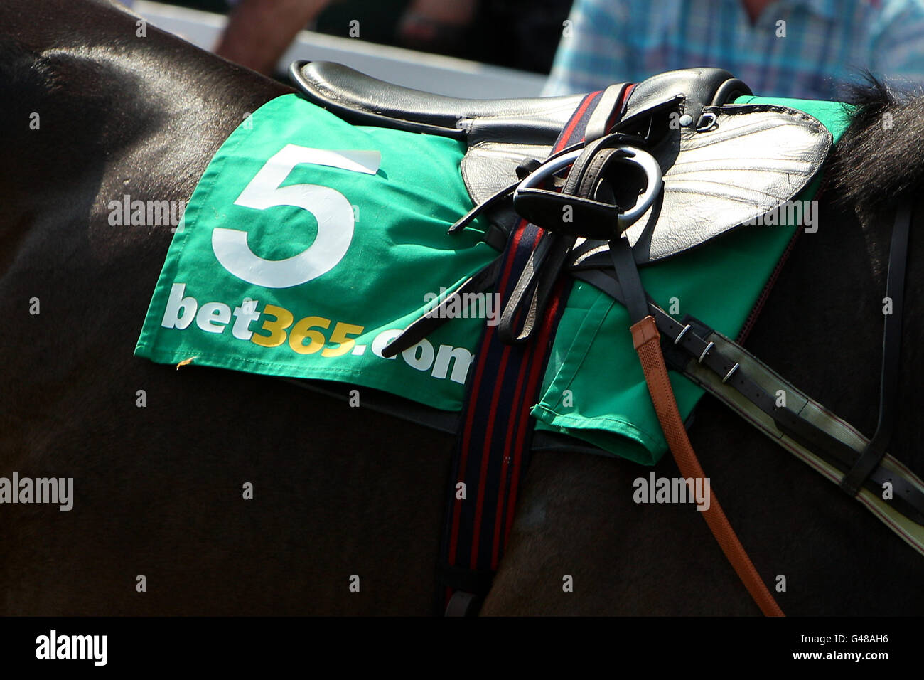 5 365 365 hi-res stock photography and images - Alamy