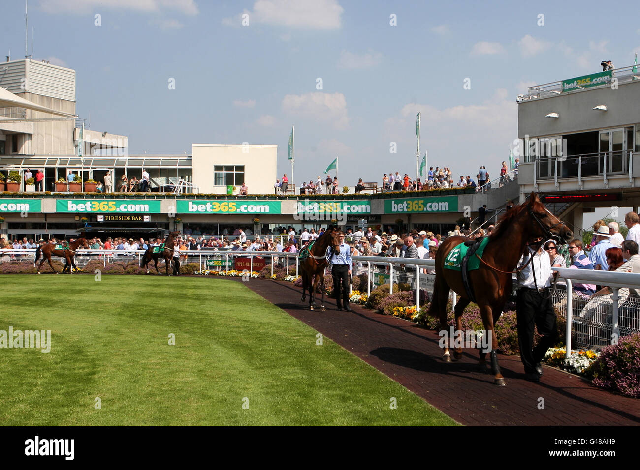Horses are lead around the parade ring hi-res stock photography and ...