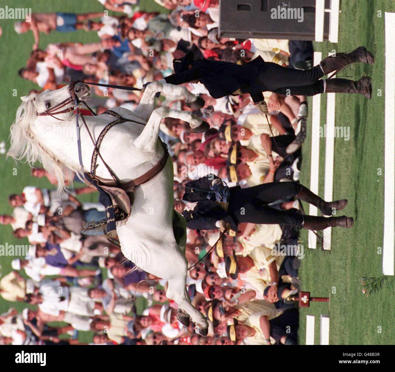 Ryder Cup/flying horse Stock Photo - Alamy