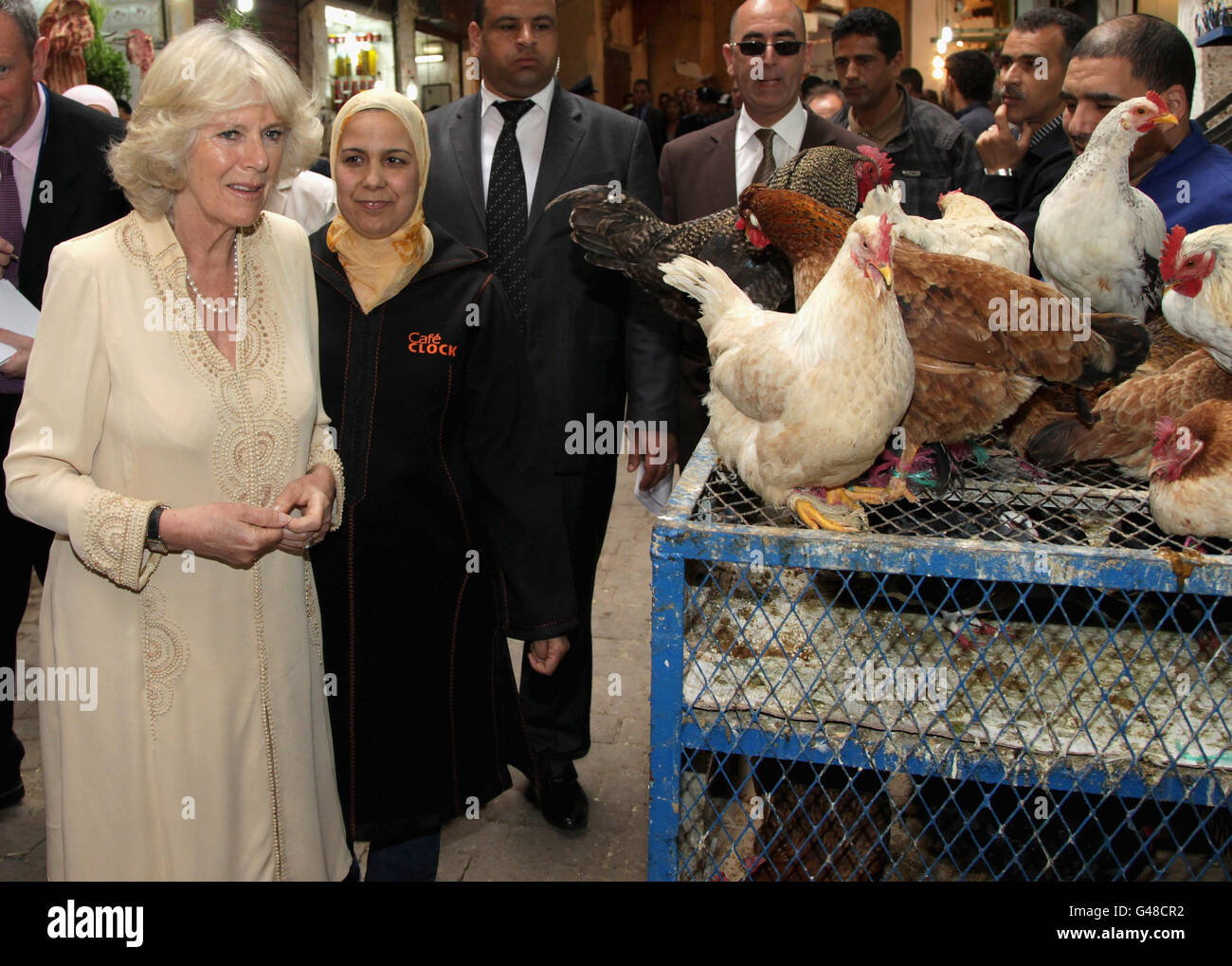Royal visit to Morocco Stock Photo - Alamy