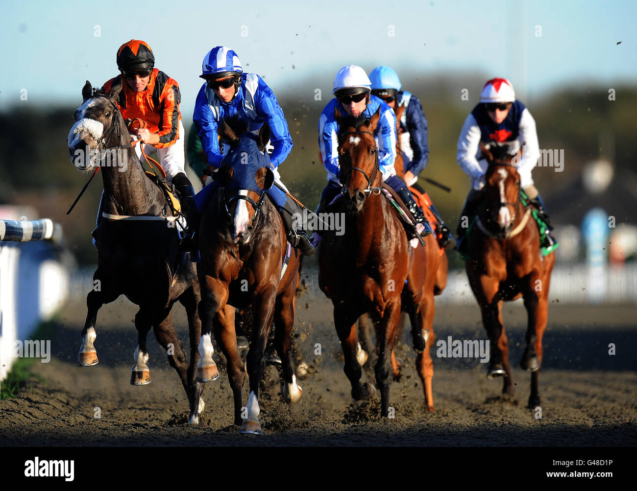 Horse Racing - Kempton Park Racecourse Stock Photo - Alamy