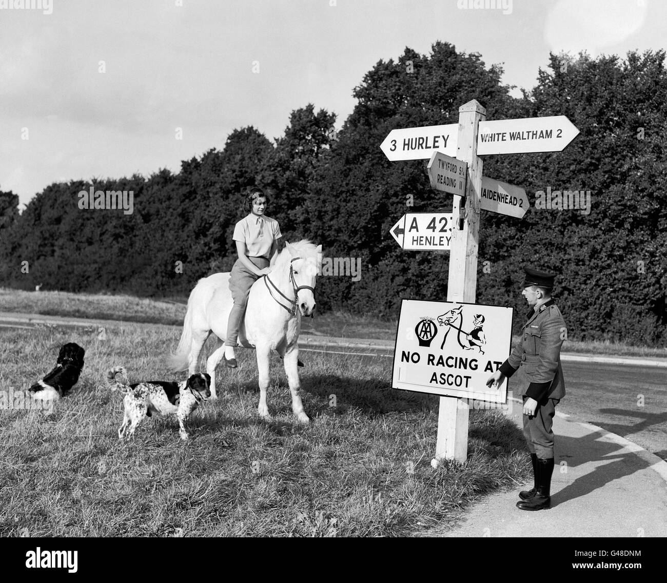 Road sign with horse rider hi-res stock photography and images - Alamy