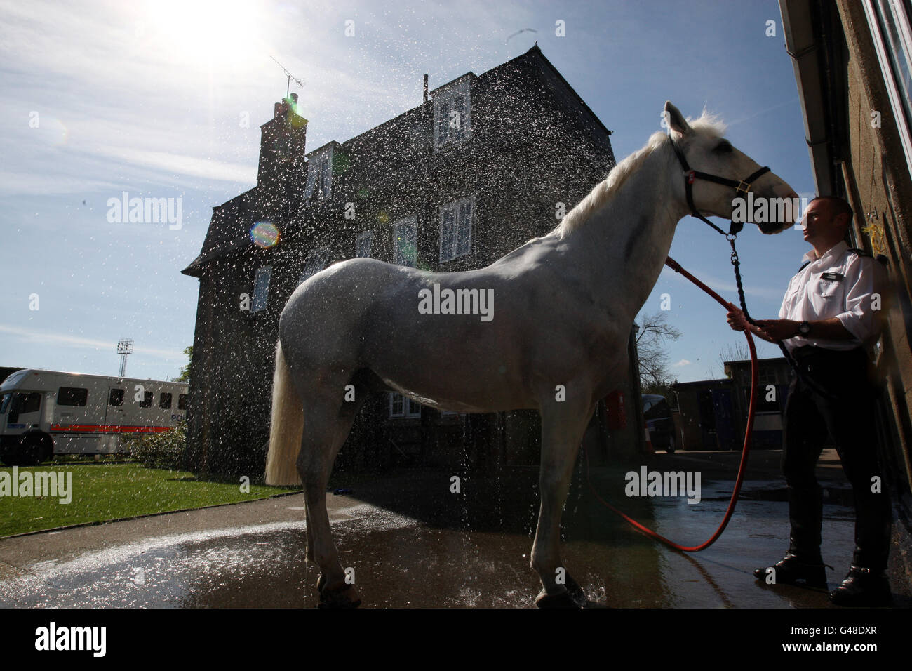 Metropolitan police mounted division hi-res stock photography and ...